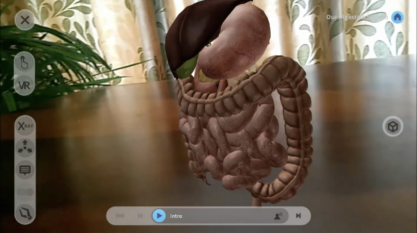 Virtual Biology - The Human Digestive System - EON Reality - AI ... Virtual Biology - The Human Digestive System - EON Reality - AI ...